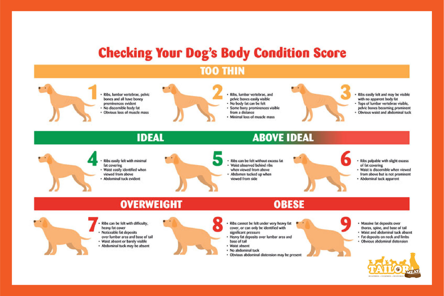Body Condition Scoring 睇清楚你狗狗肥定瘦 | TailorMeat度身配製生肉糧 – TailorMeat Limited
